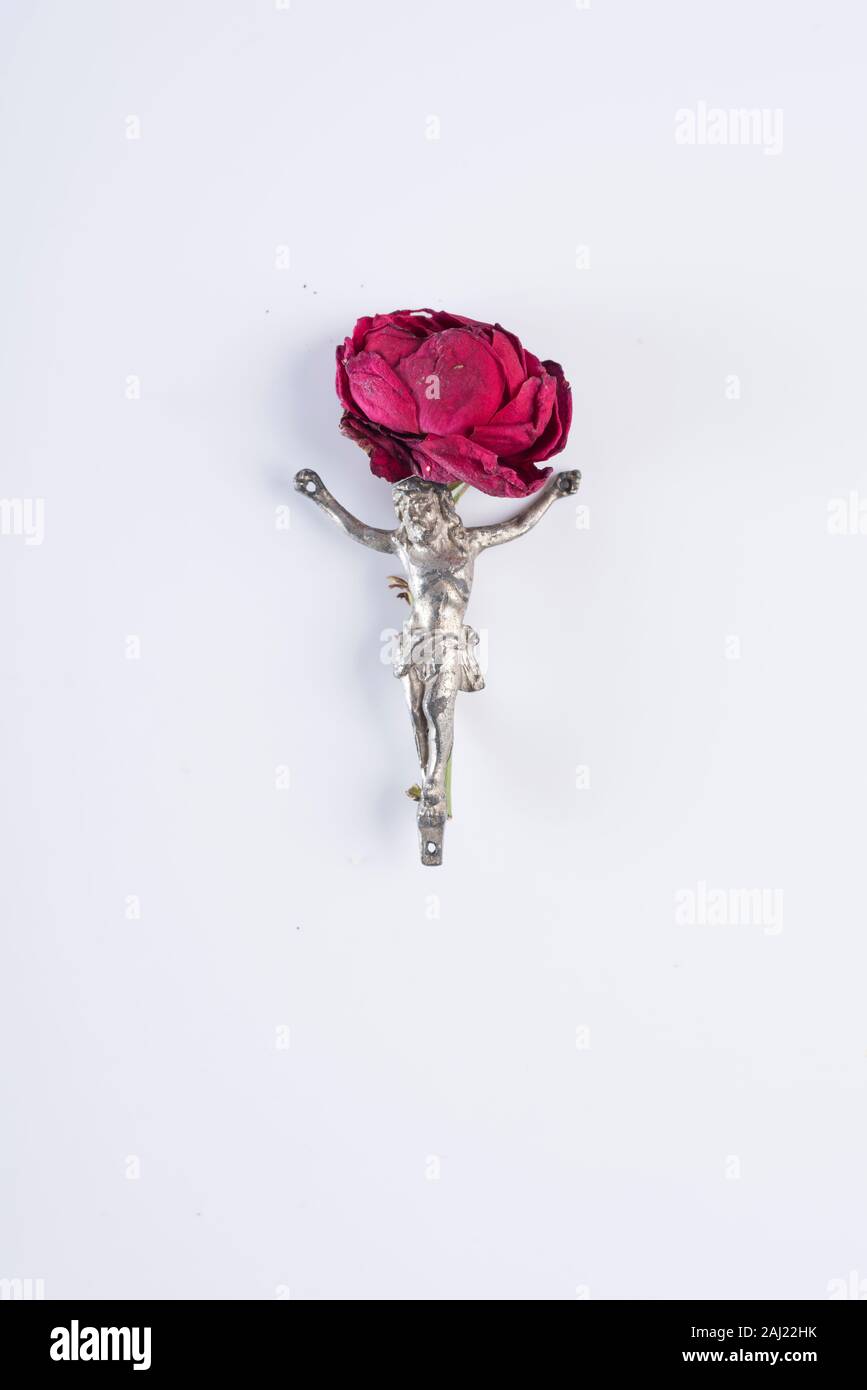 silver metal christ on white background with pink rose behind it Stock ...