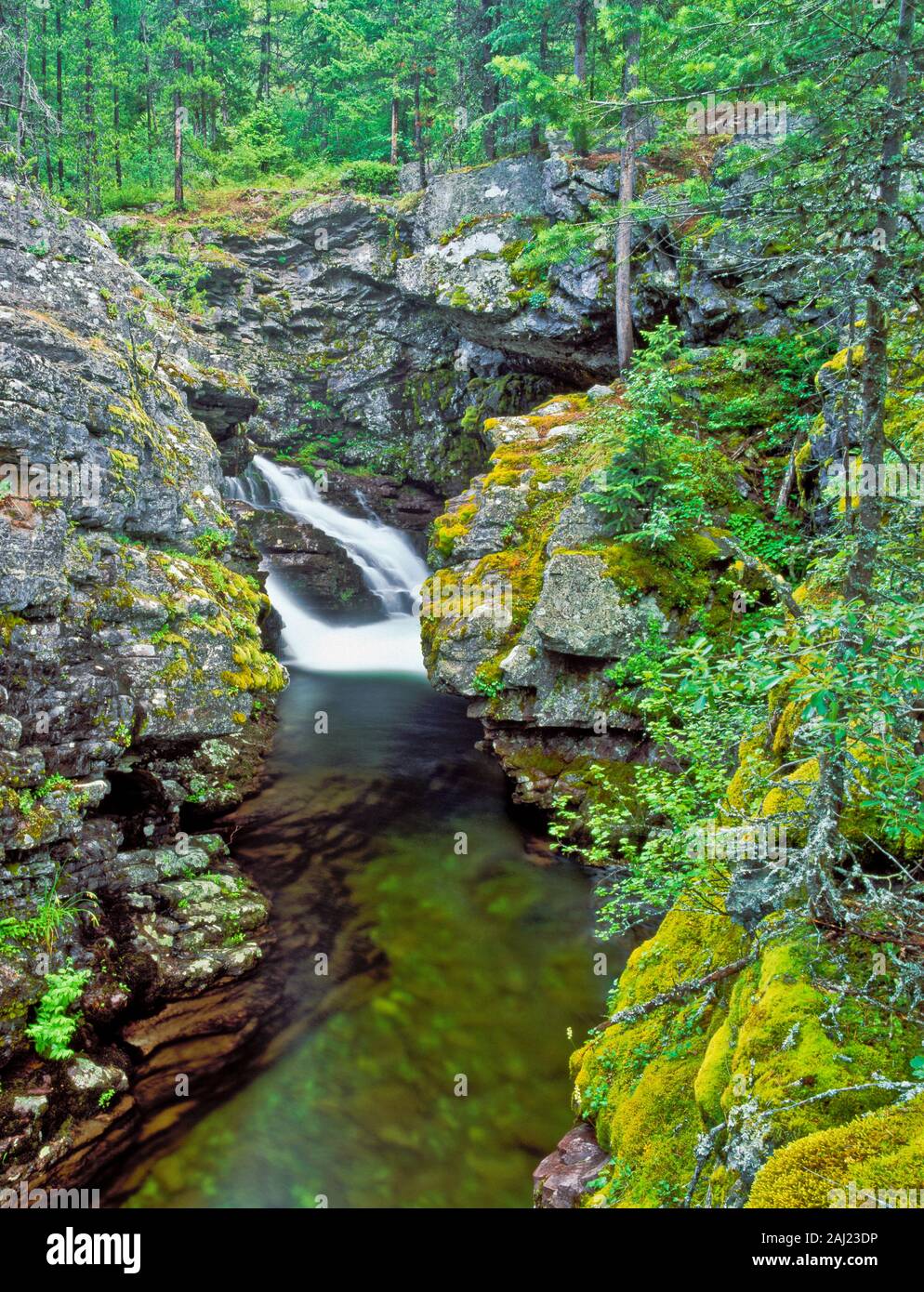 Arlee montana hi-res stock photography and images - Alamy