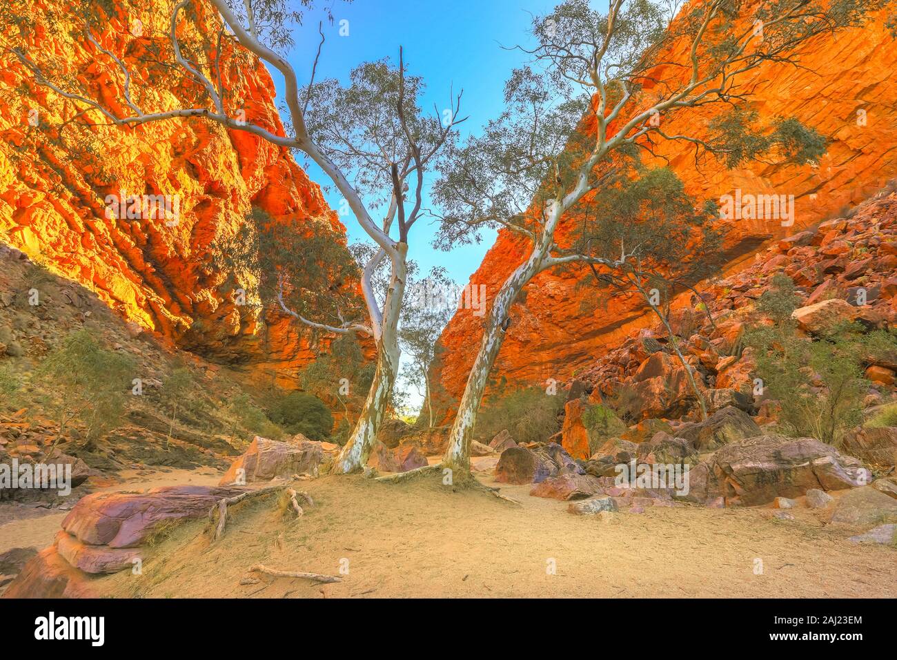 Scenic Simpsons Gap and permanent vegetation in West MacDonnell Ranges ...