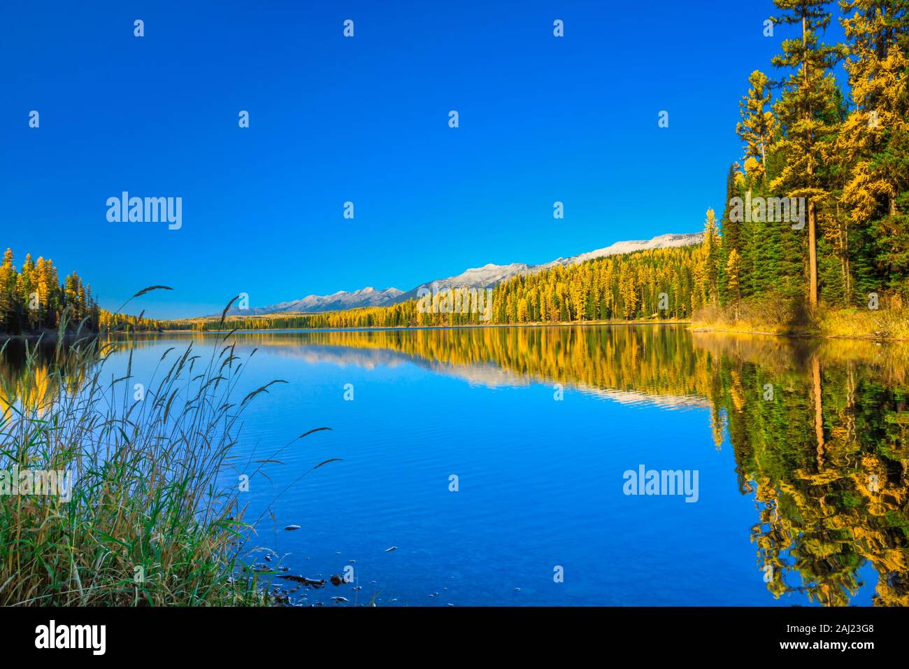 autumn evening at lake alva in the clearwater valley below the swan ...