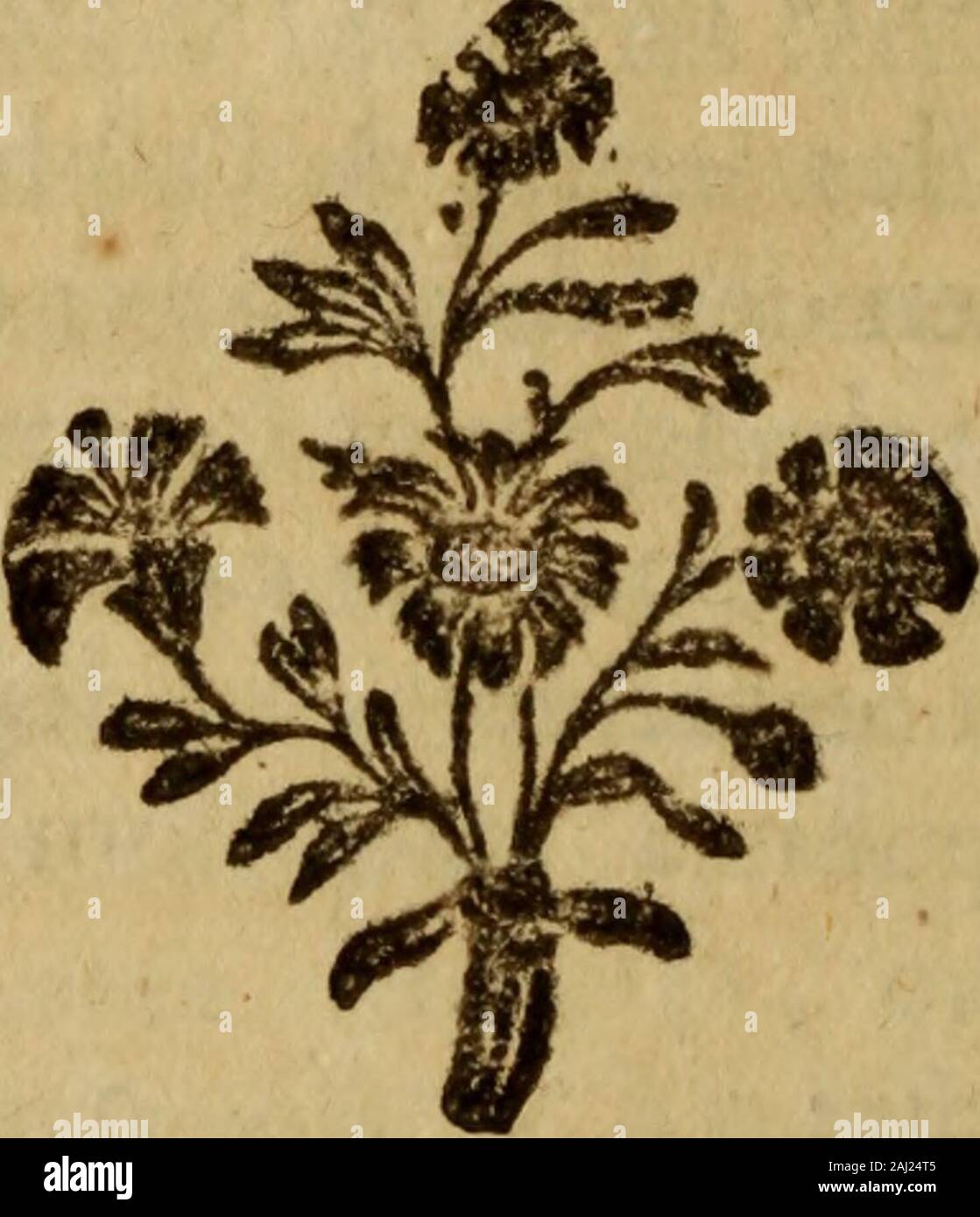 Etr font hi-res stock photography and images - Alamy