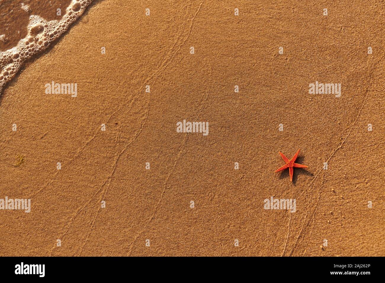 Morning star beach resort hi-res stock photography and images - Alamy