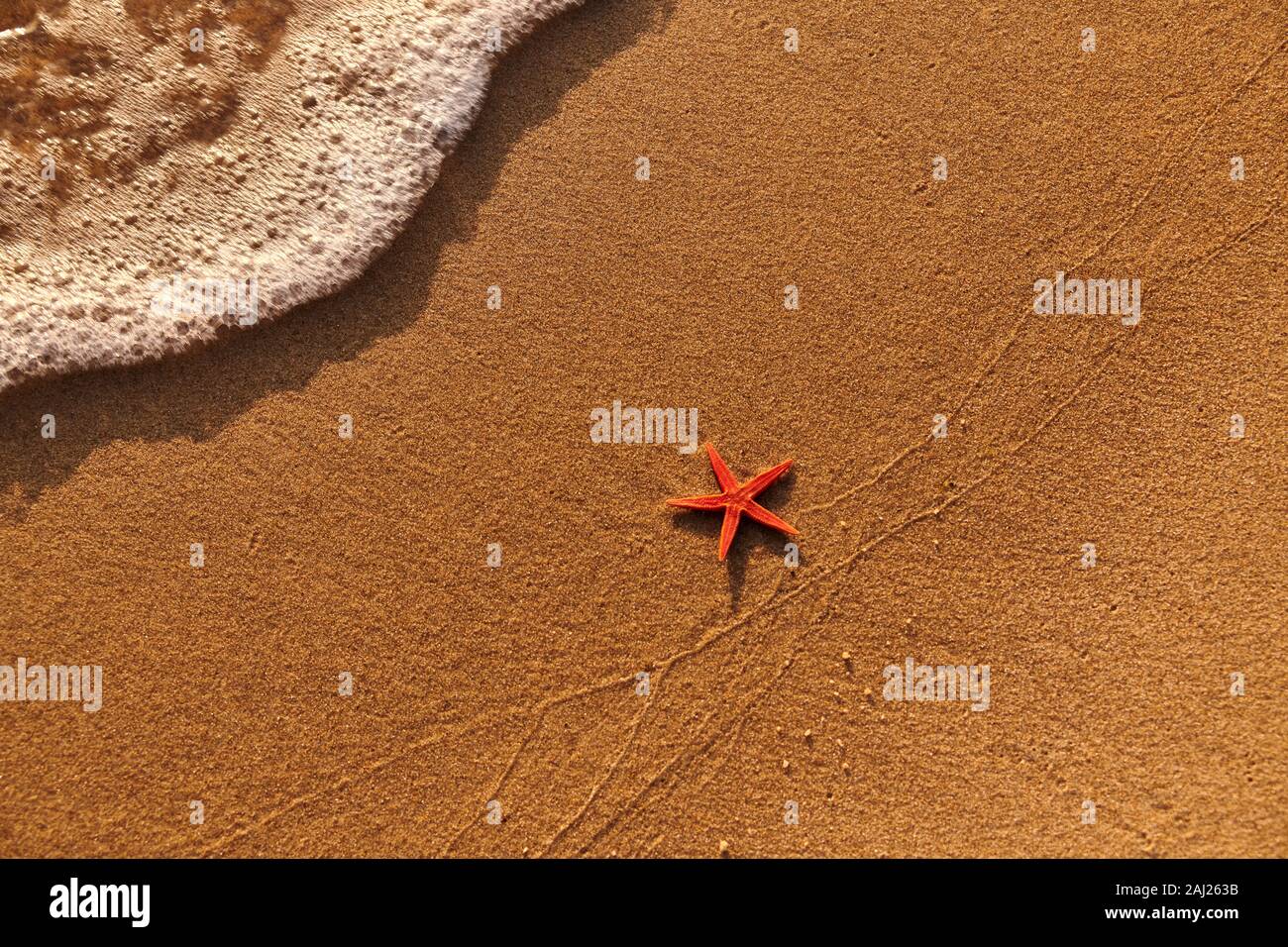 Morning star beach resort hi-res stock photography and images - Alamy