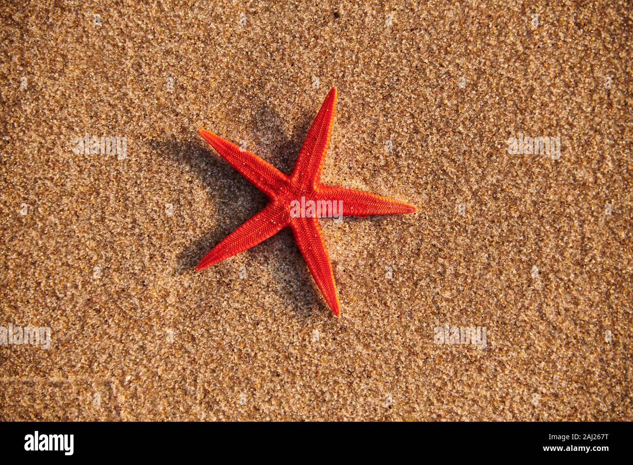 Morning star beach resort hi-res stock photography and images - Alamy