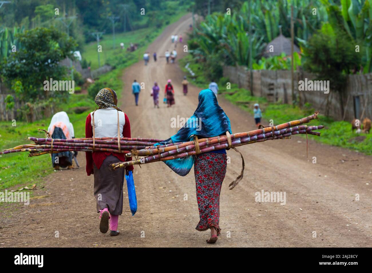 Dorze people, Naciones, Etiopia, Africa Stock Photo - Alamy