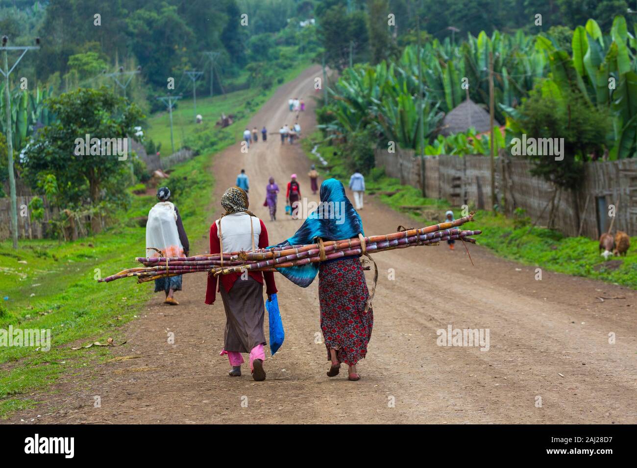 Dorze people, Naciones, Etiopia, Africa Stock Photo - Alamy
