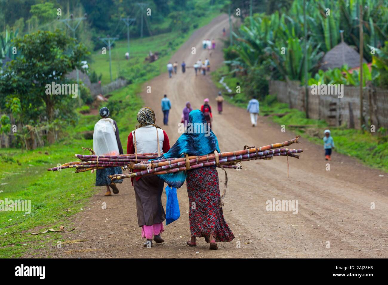 Dorze people, Naciones, Etiopia, Africa Stock Photo - Alamy