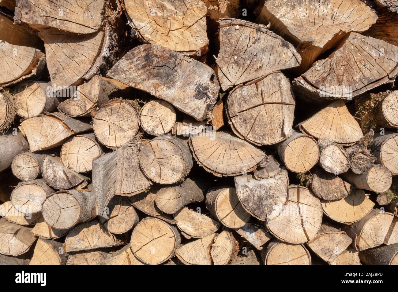 Stacking logs for drying hi-res stock photography and images - Alamy