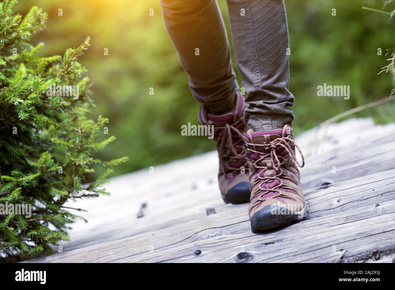 hiking boots close-up. girl tourist steps on a log Stock Photo - Alamy