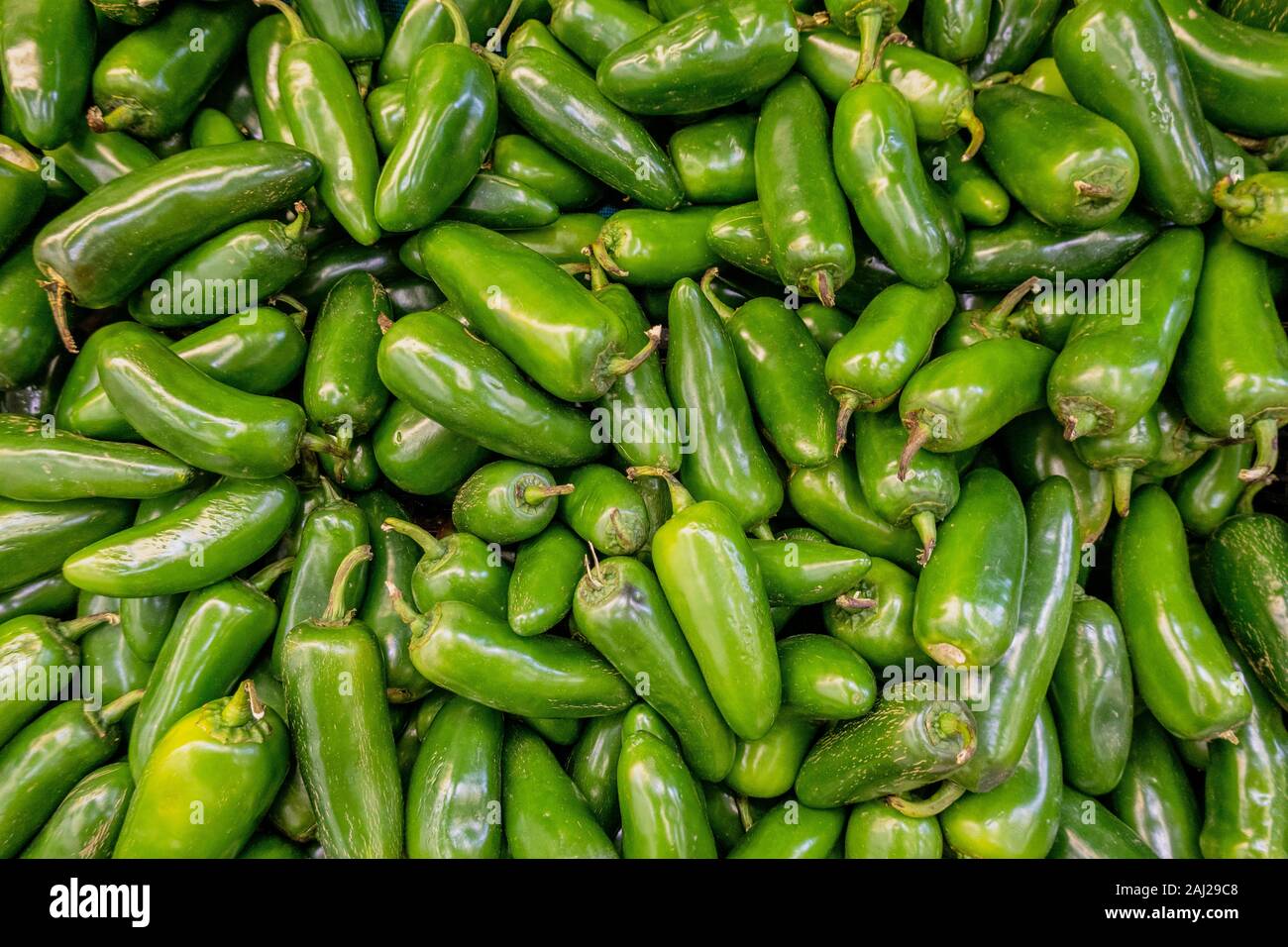 Big green chilli hi-res stock photography and images - Alamy