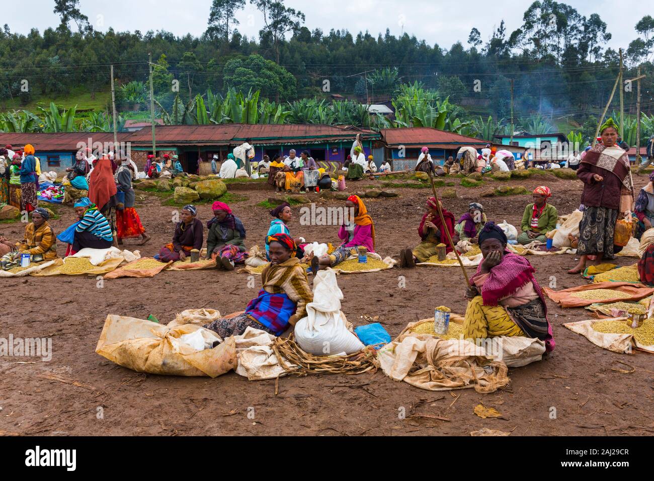 Dorze people, Naciones, Etiopia, Africa Stock Photo - Alamy