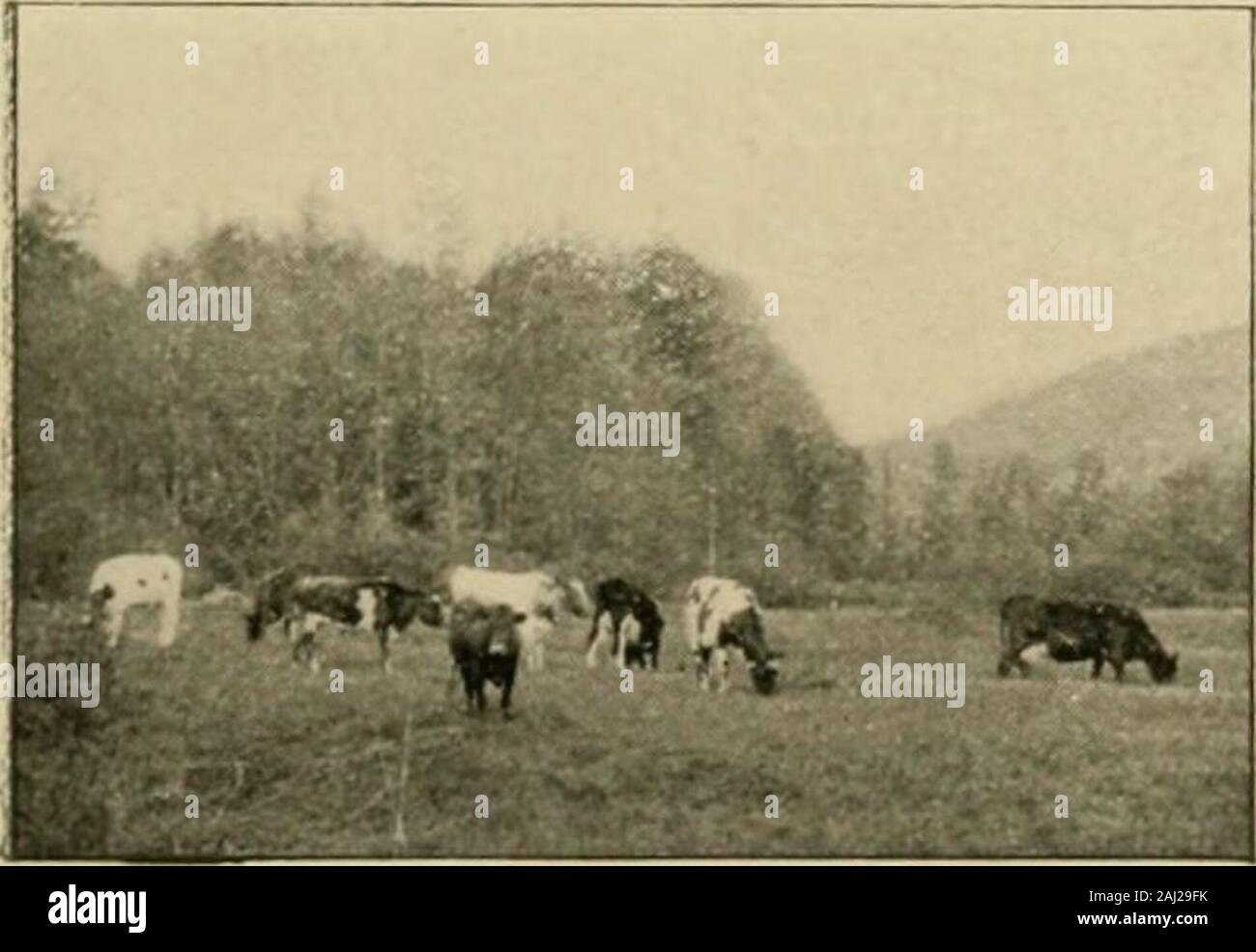 Richard piatt hi-res stock photography and images - Alamy