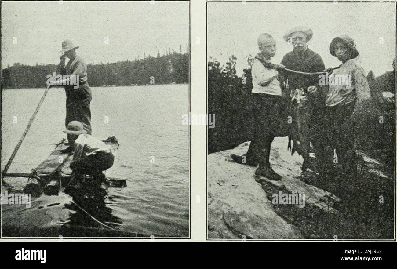 Log toss hi-res stock photography and images - Alamy