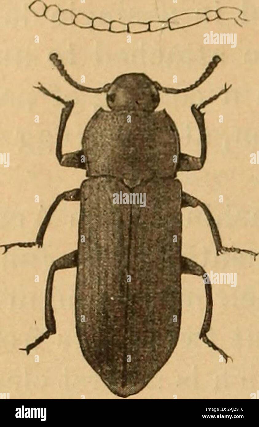 Oring room hi-res stock photography and images - Alamy