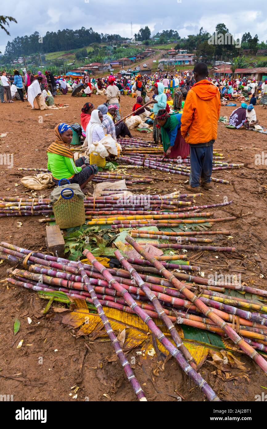 Dorze people, Naciones, Etiopia, Africa Stock Photo - Alamy