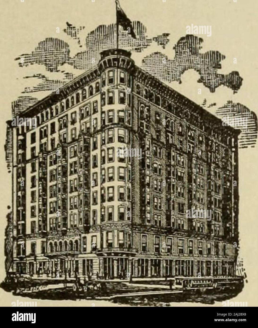 Can ants talk hi-res stock photography and images - Alamy