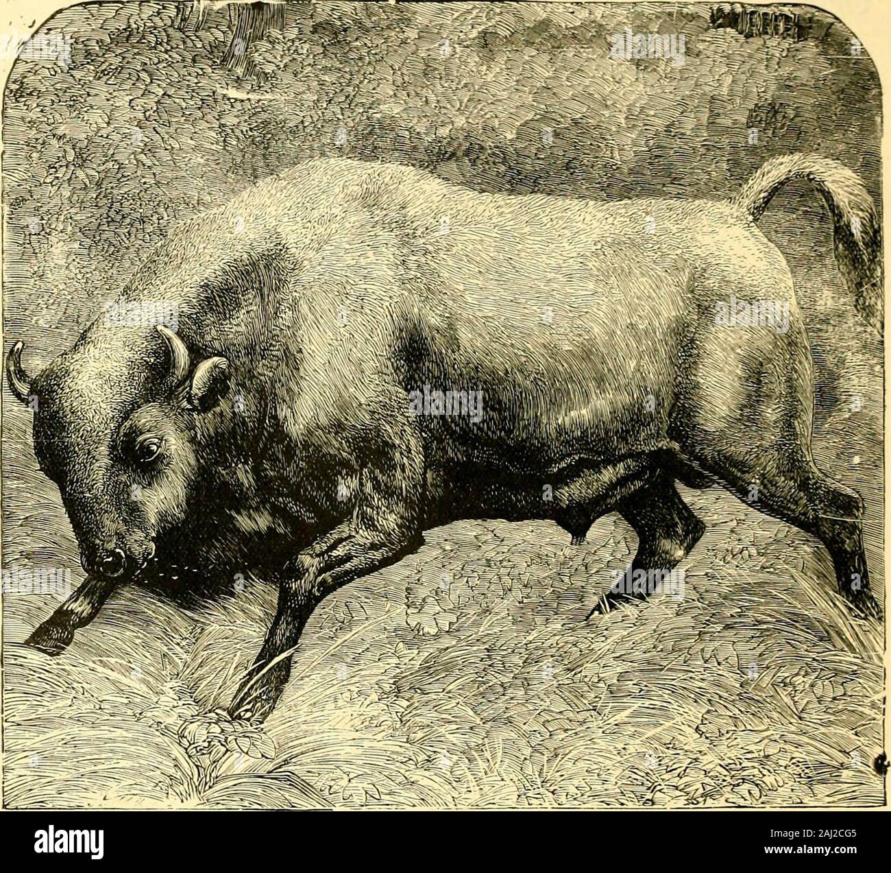 The end justifies the means hi-res stock photography and images - Alamy