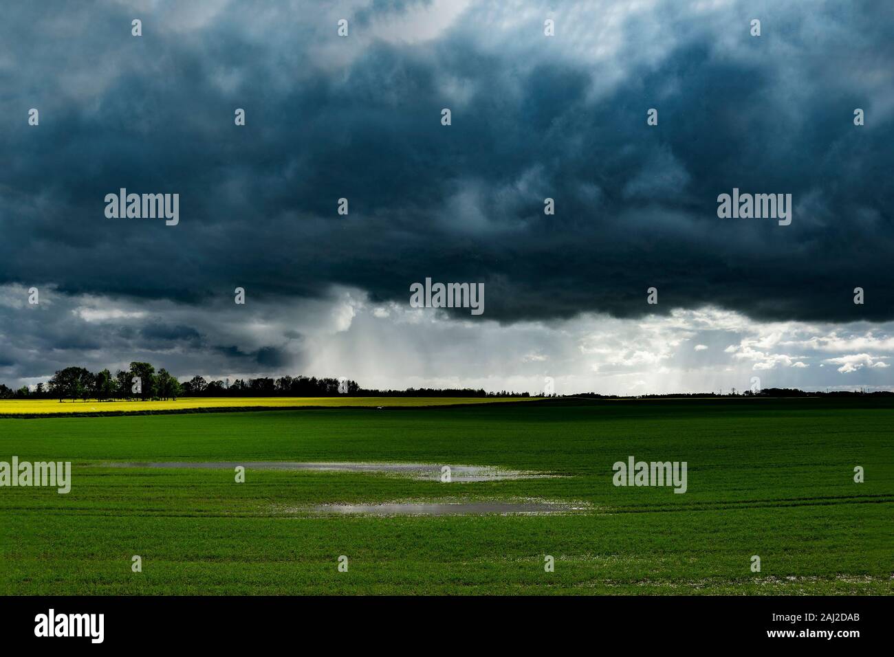 Puddles on field hi-res stock photography and images - Alamy