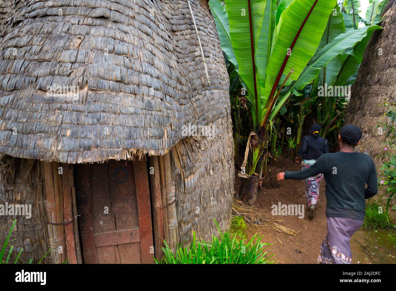 Dorze people, Naciones, Etiopia, Africa Stock Photo - Alamy