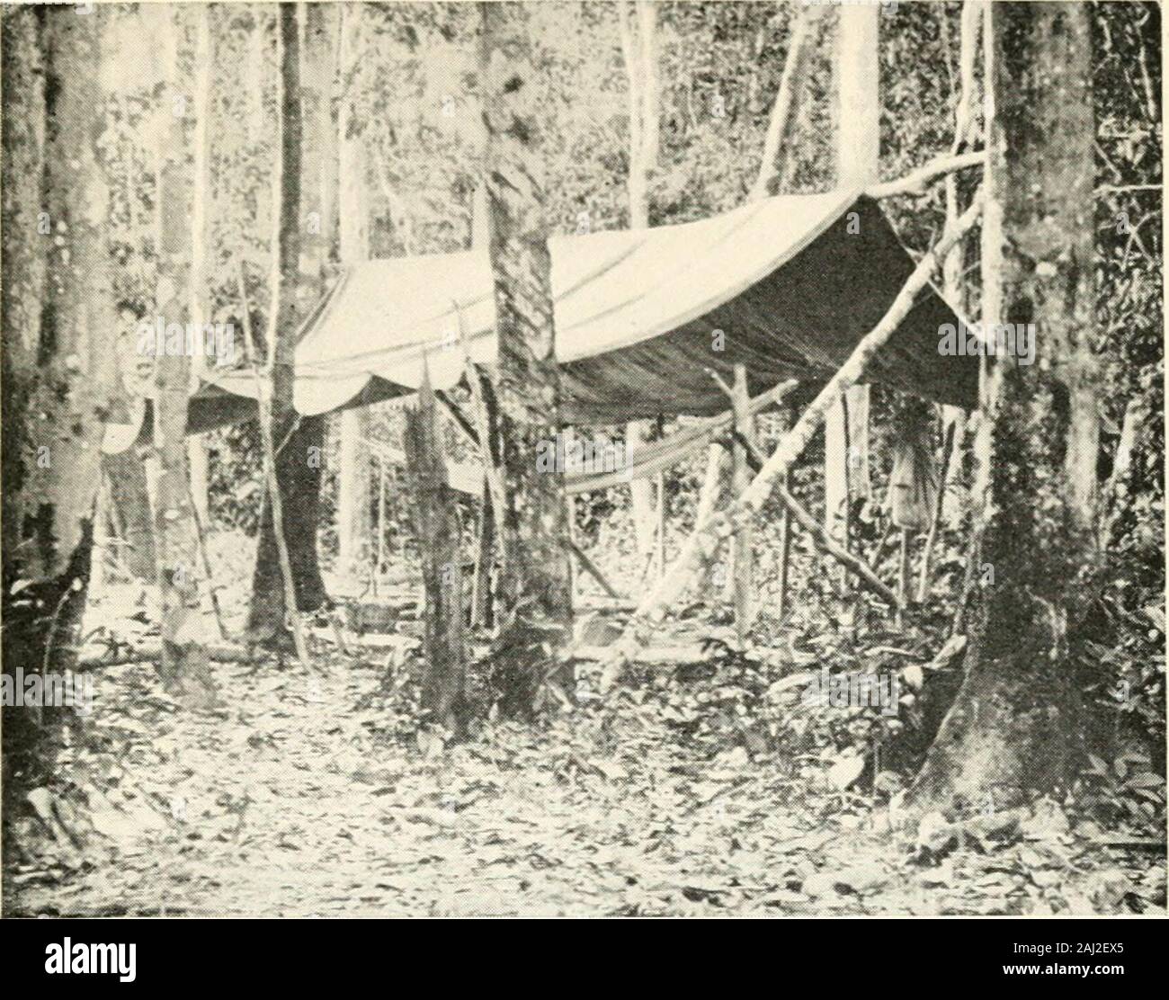 Dried rations hi-res stock photography and images - Alamy