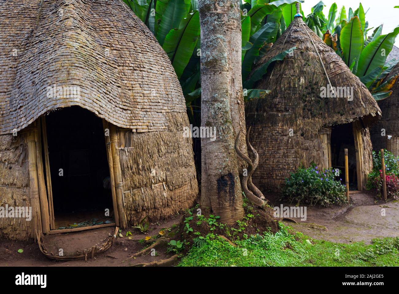 Dorze people, Naciones, Etiopia, Africa Stock Photo - Alamy