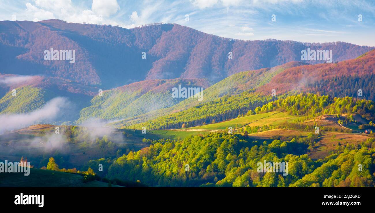 mountainous countryside in the morning. valley full of rising fog ...