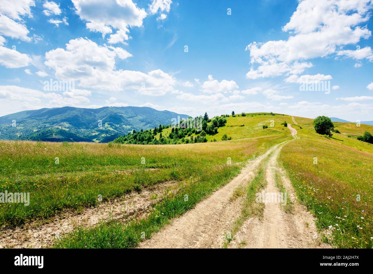 mountain rural landscape in summertime. country path winding off in to ...