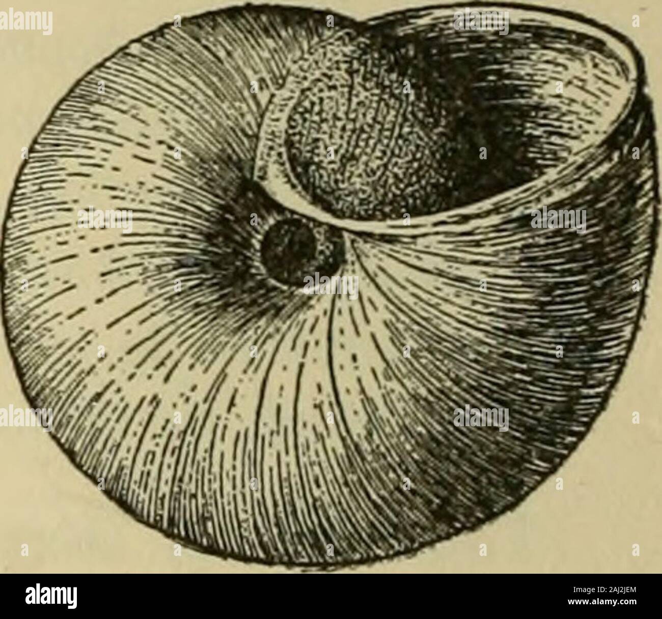 Scars band hi-res stock photography and images - Alamy