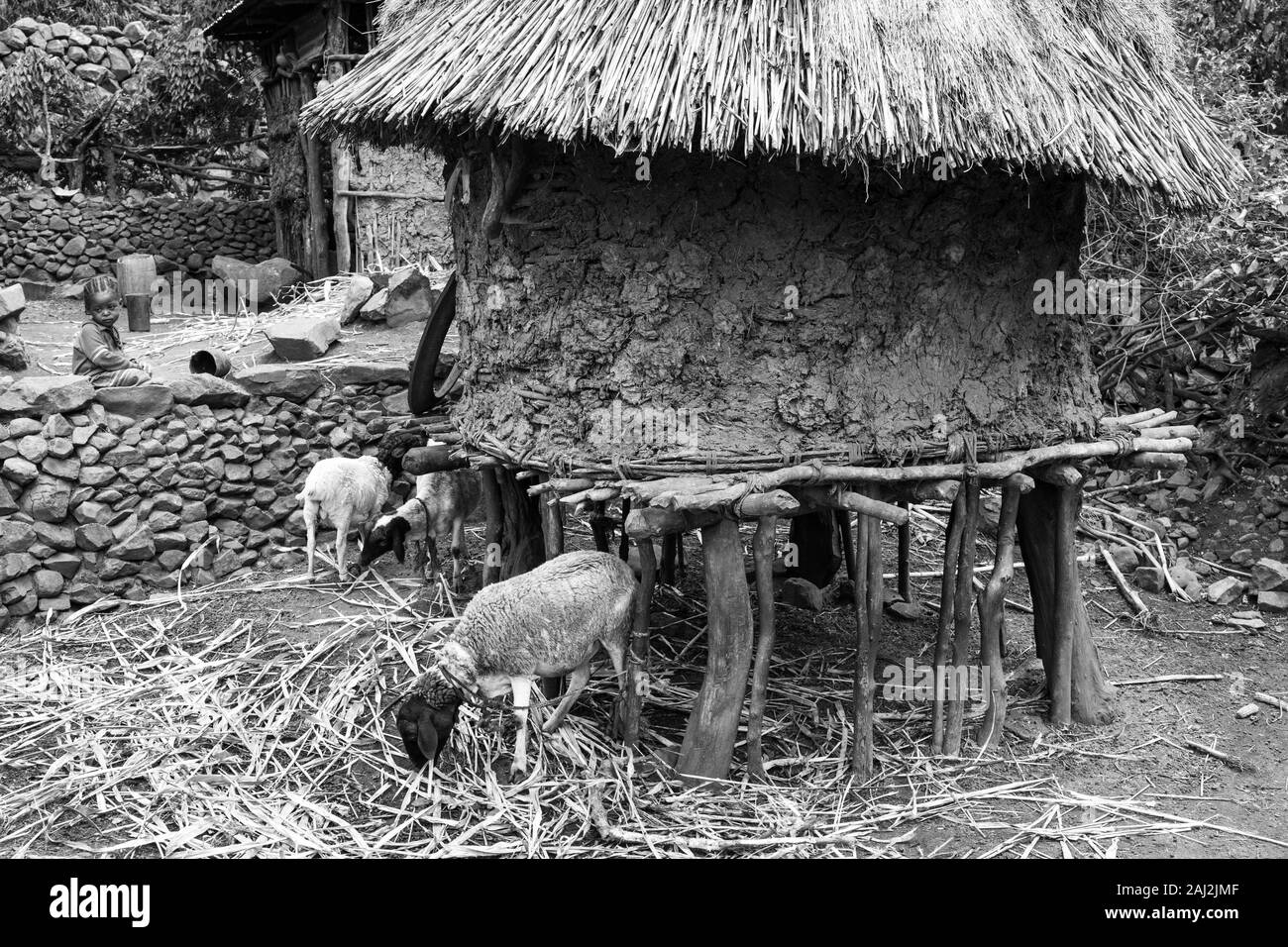 Konso people, Konso village, Naciones, Ethiopia, Africa Stock Photo - Alamy