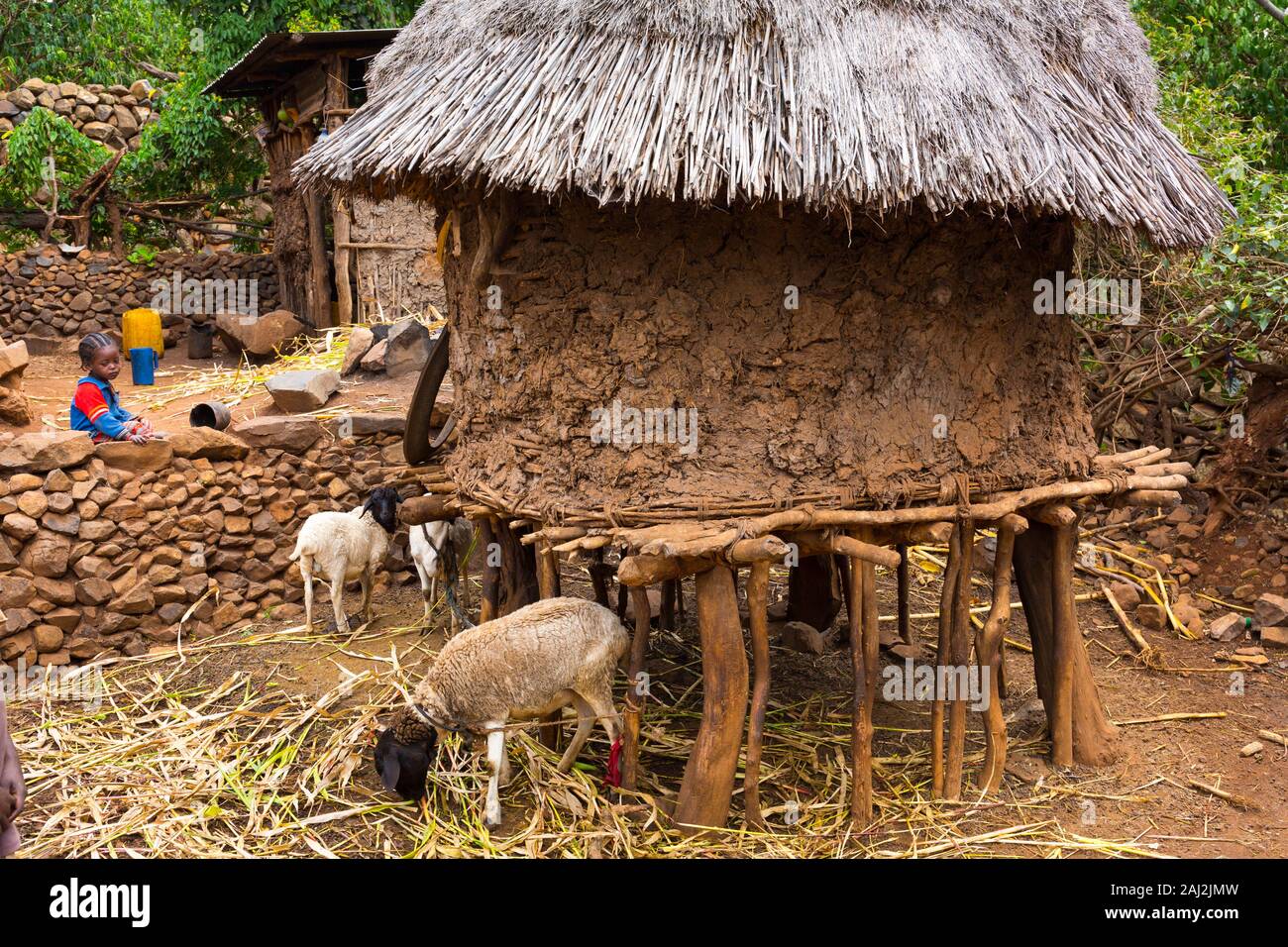 Konso people, Konso village, Naciones, Ethiopia, Africa Stock Photo - Alamy