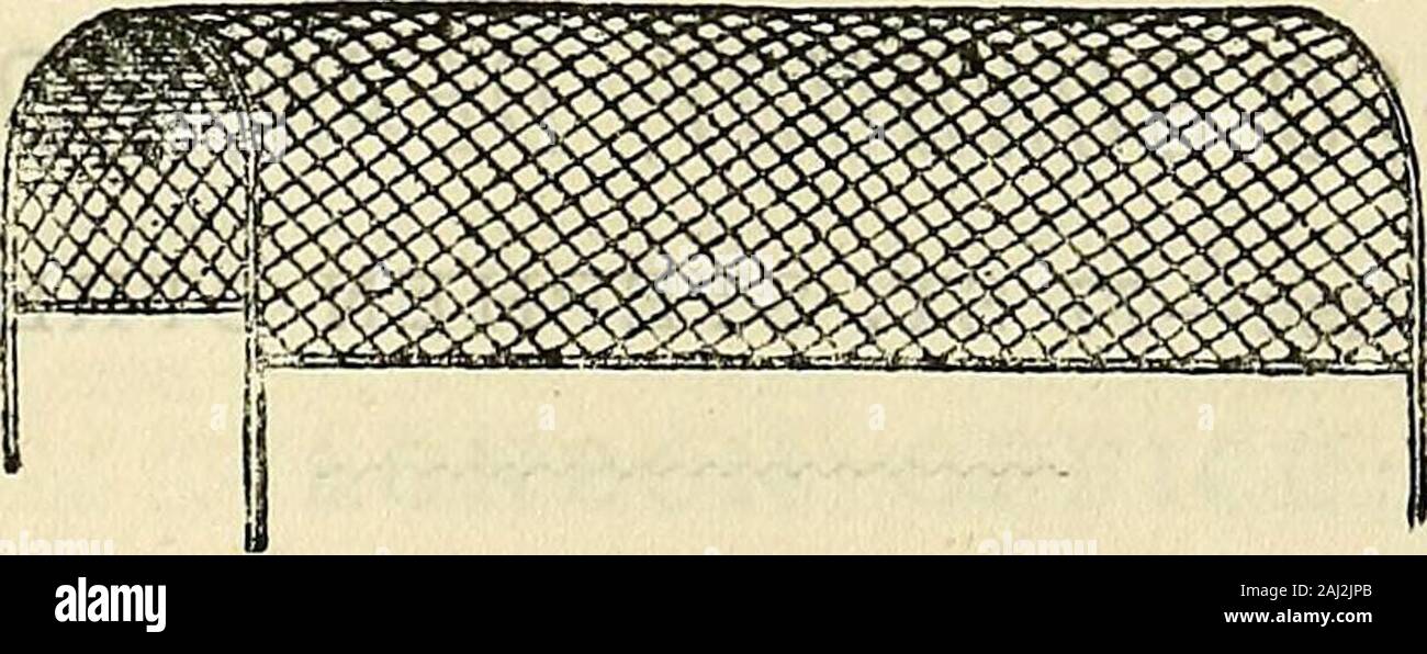 Abore hi-res stock photography and images - Alamy