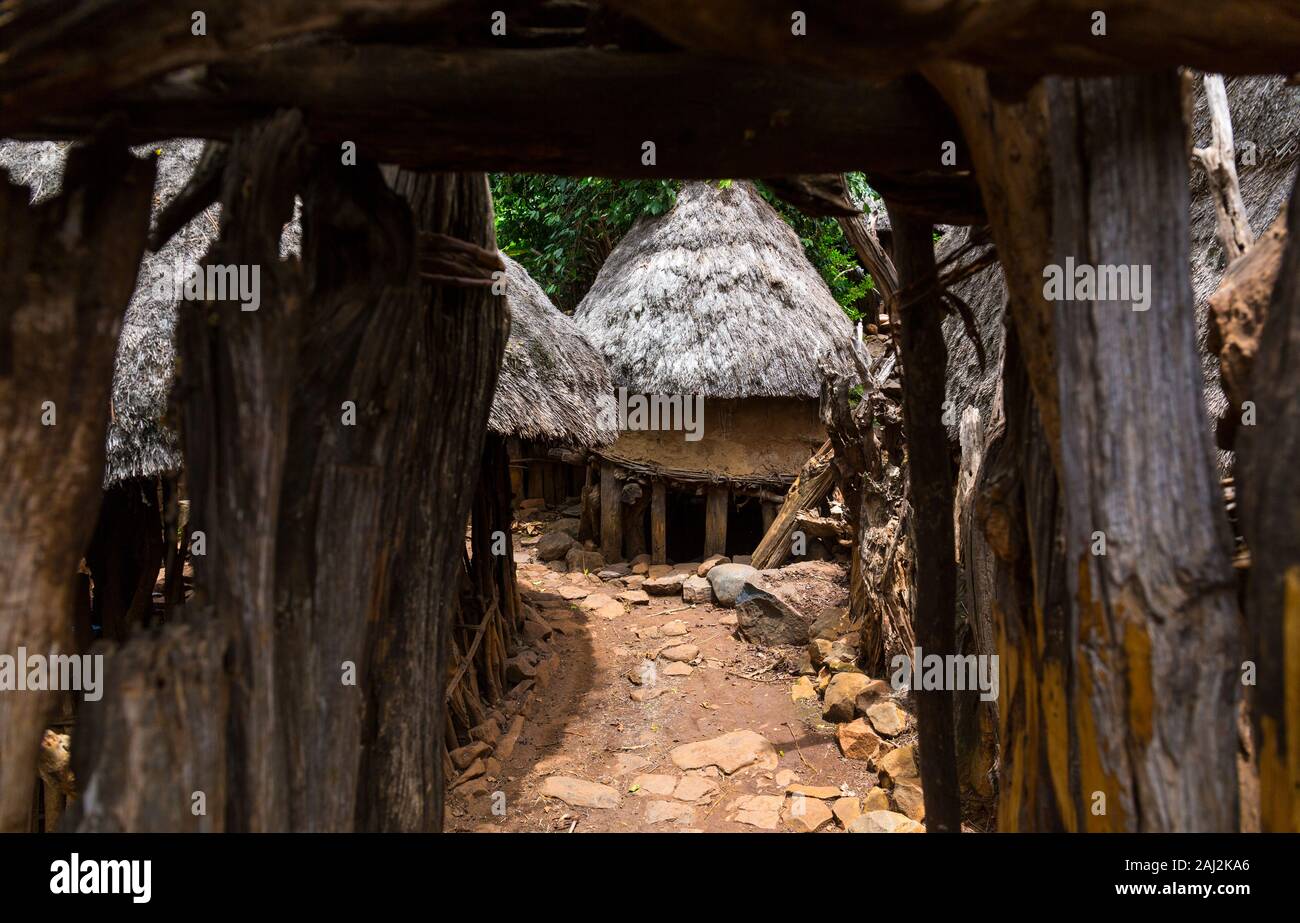 Konso people, Konso village, Naciones, Ethiopia, Africa Stock Photo - Alamy