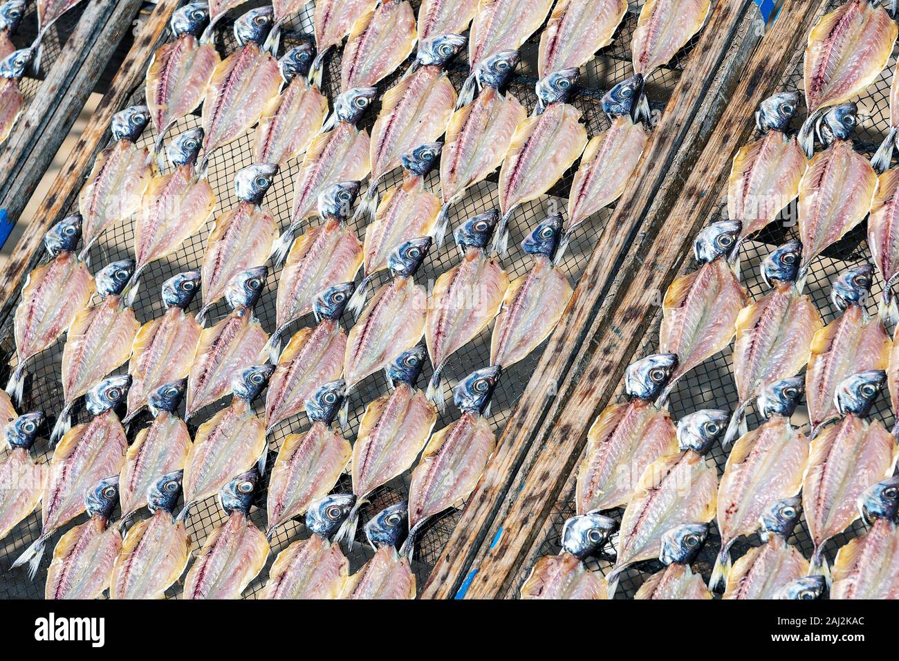 Drying of fresh fish on sunlight and wind Stock Photo - Alamy