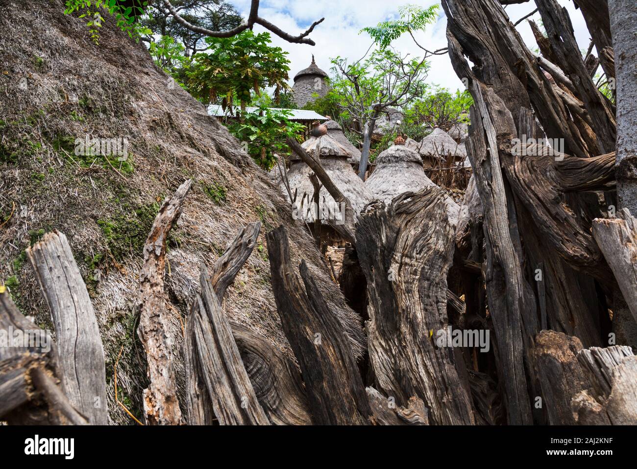 Konso people, Konso village, Naciones, Ethiopia, Africa Stock Photo - Alamy