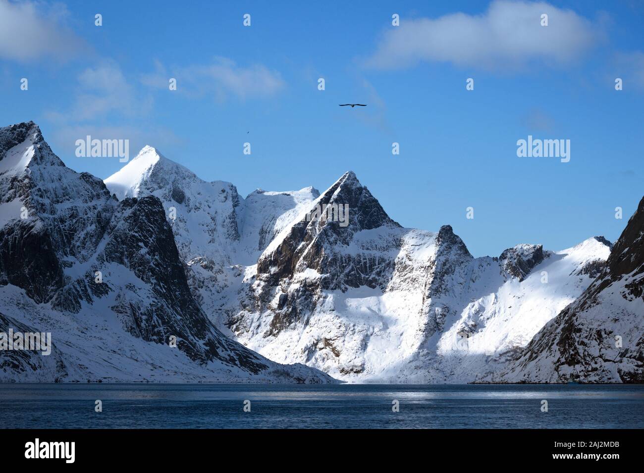 beautiful Norwegian landscape at the Lofoten Islands. Norway. winter ...