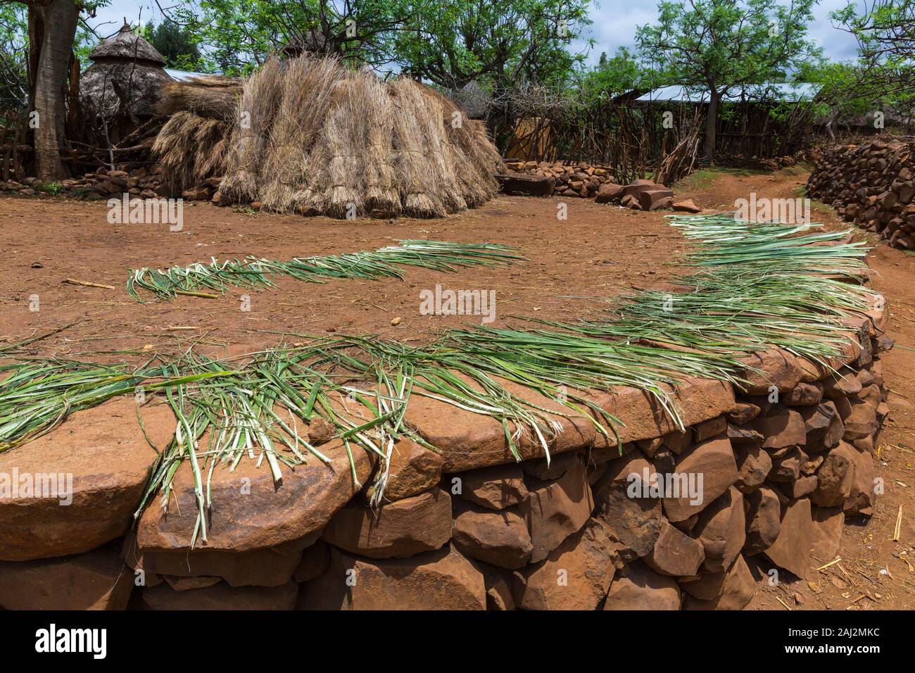 Konso people, Konso village, Naciones, Ethiopia, Africa Stock Photo - Alamy