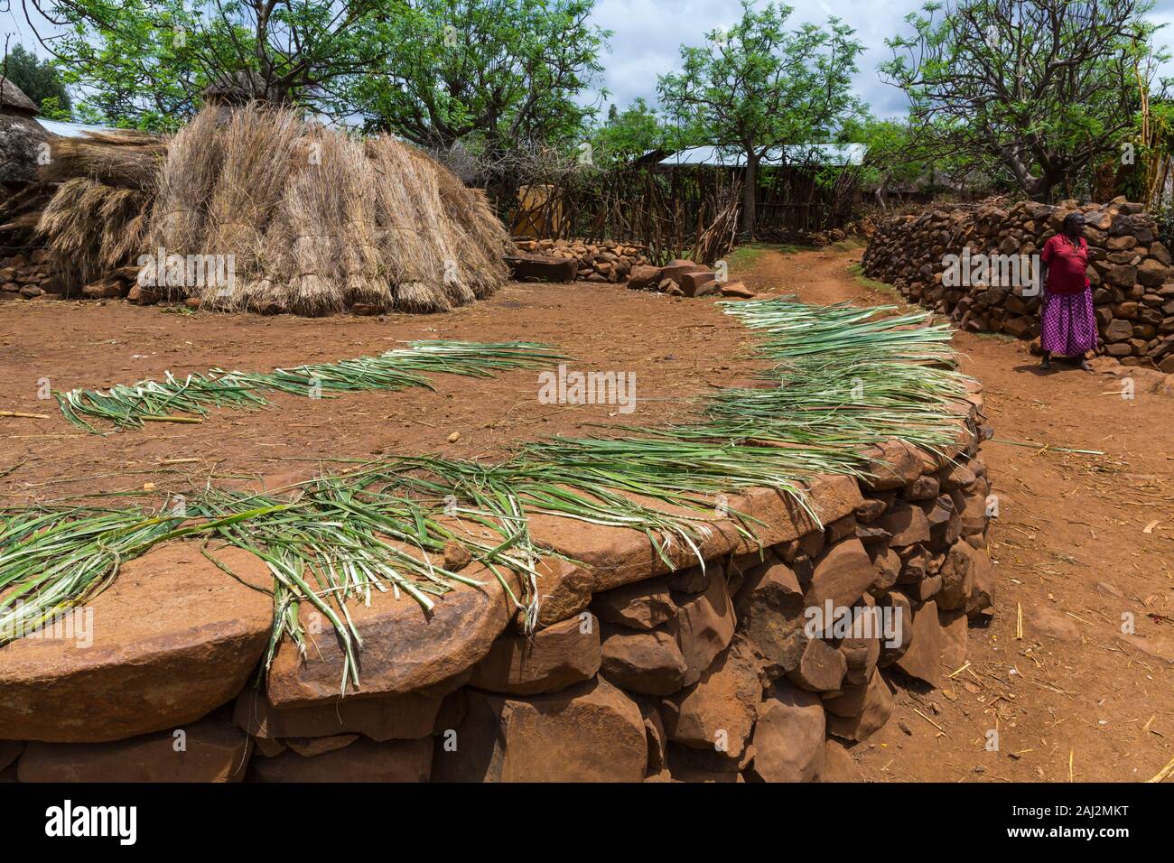 Konso people, Konso village, Naciones, Ethiopia, Africa Stock Photo - Alamy