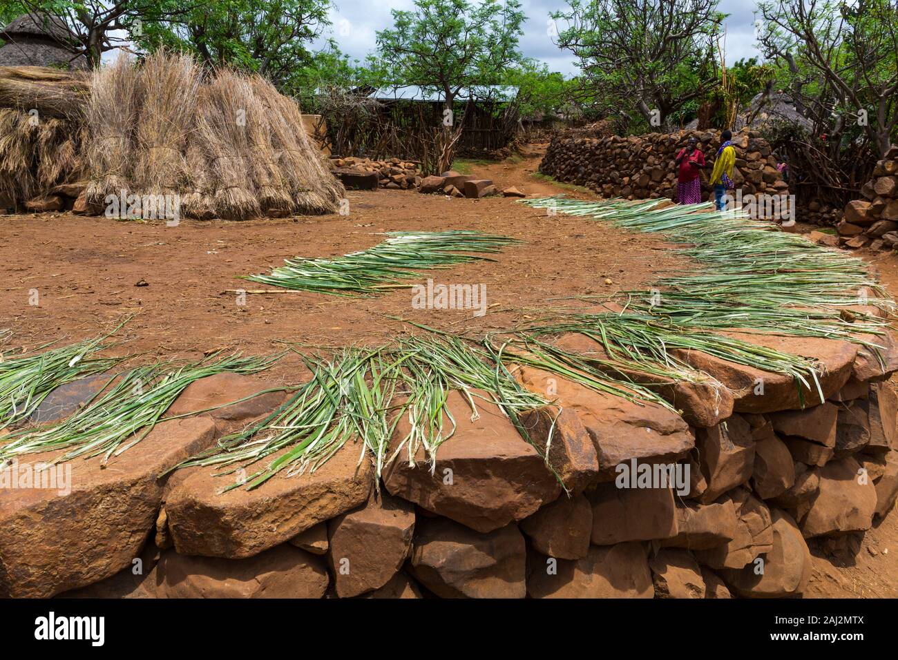 Konso people, Konso village, Naciones, Ethiopia, Africa Stock Photo - Alamy
