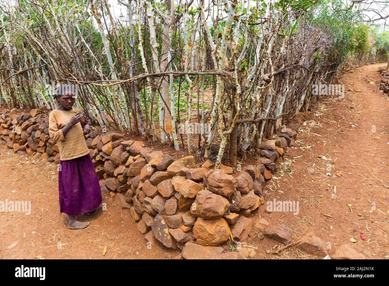 Konso people, Konso village, Naciones, Ethiopia, Africa Stock Photo - Alamy