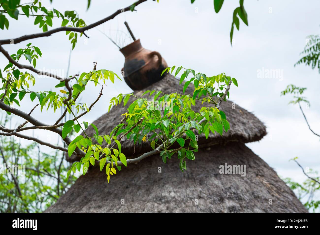 Konso people, Konso village, Naciones, Ethiopia, Africa Stock Photo - Alamy