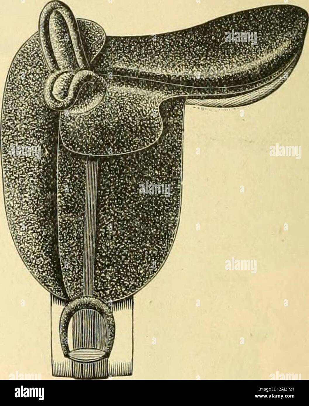 Pig in harness hi-res stock photography and images - Alamy