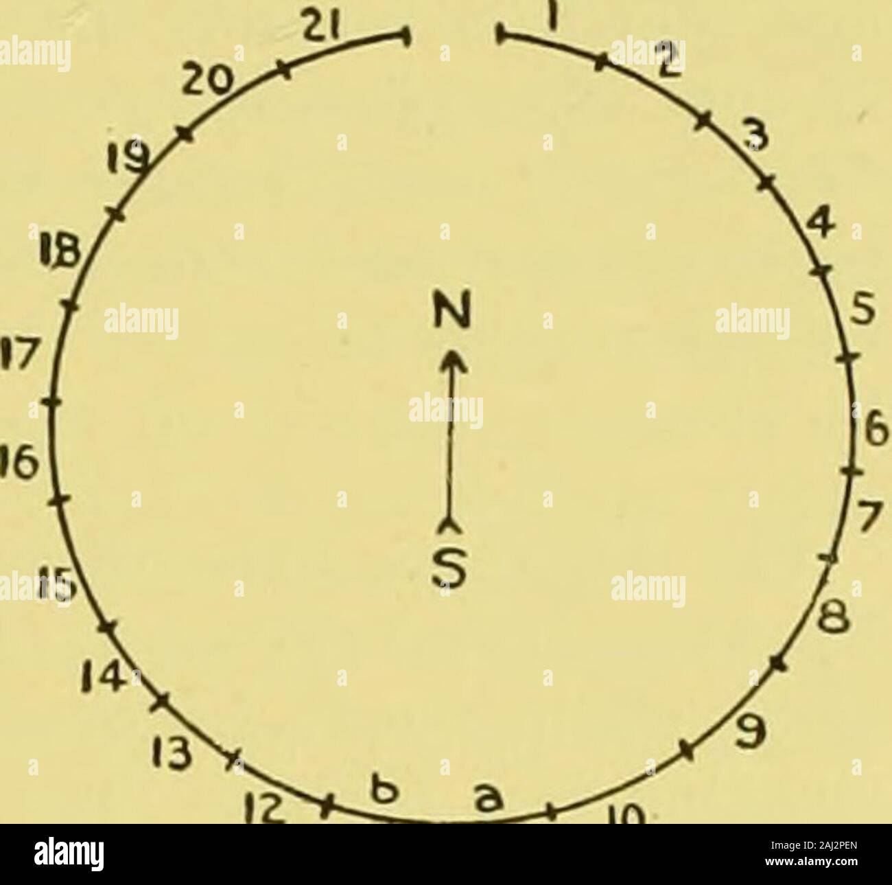 Phratry hi-res stock photography and images - Alamy