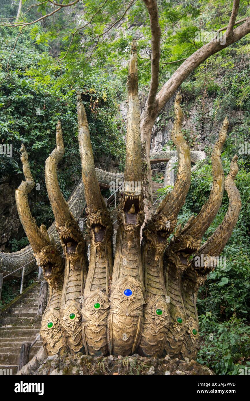 the Wat Tham Pla or monkey temple near the town of Mae Sai on the ...