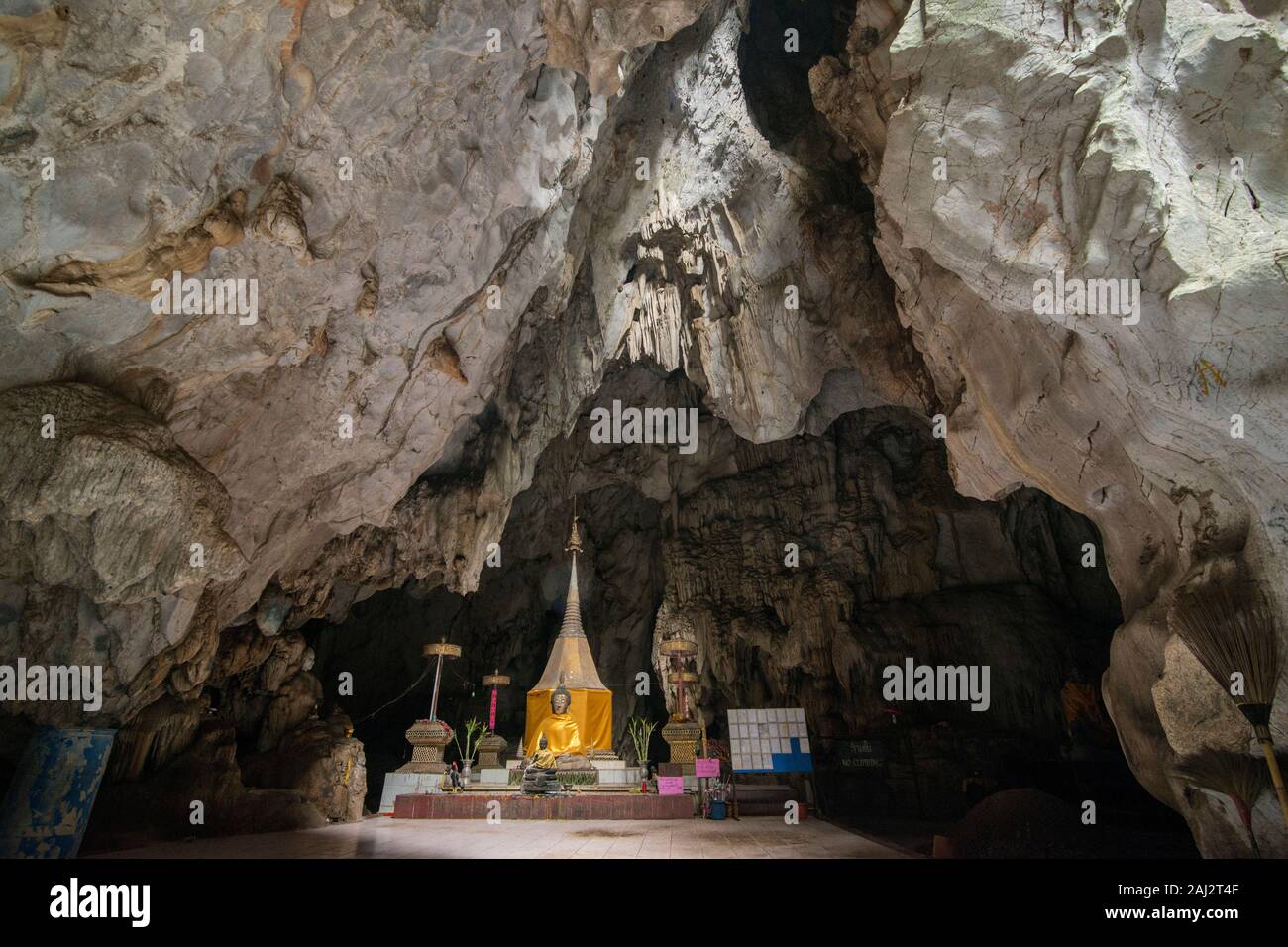 the Wat Tham Pla Cave or monkey cave near the town of Mae Sai on the ...