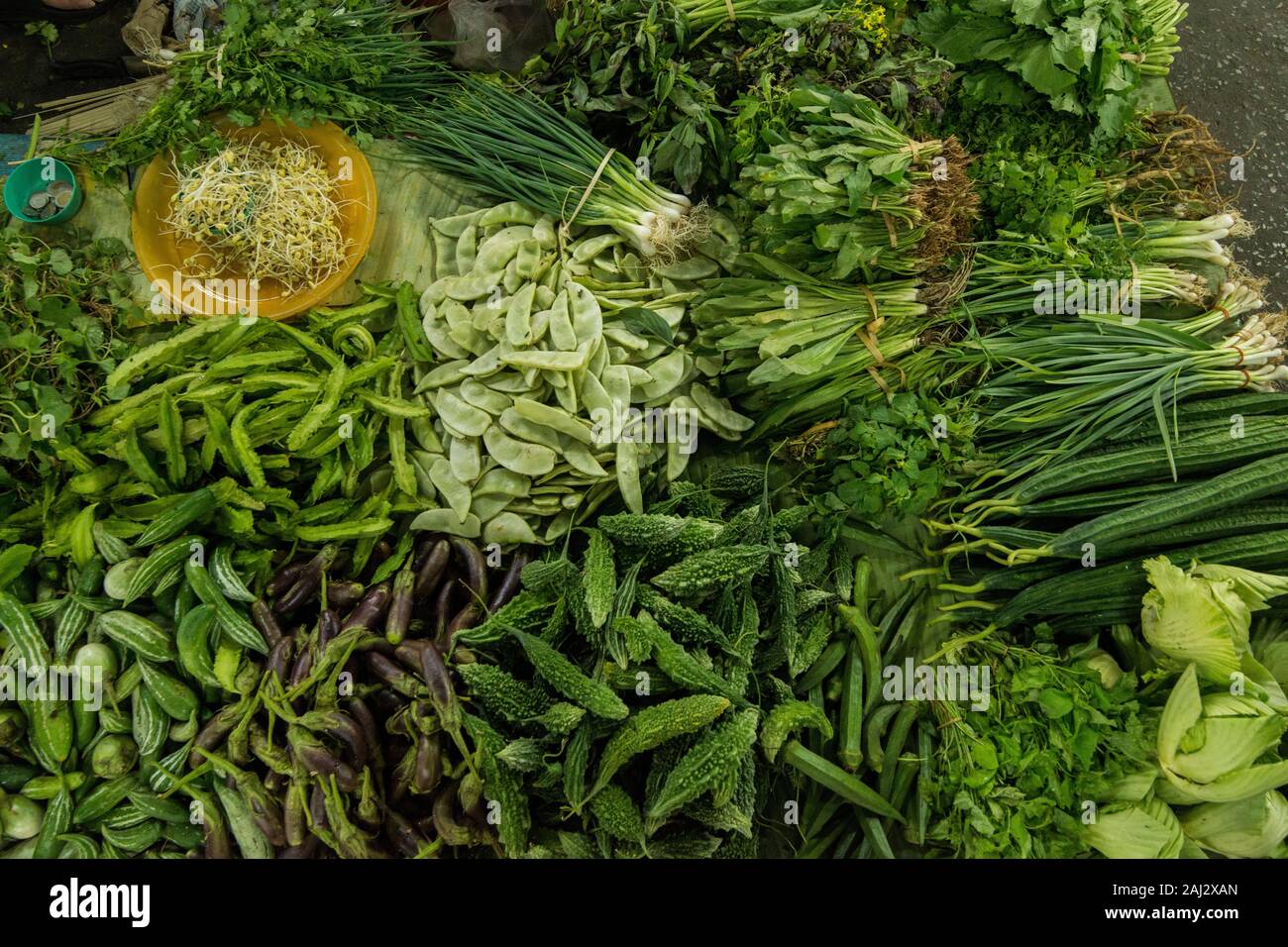 fresh vegetable at the food market in the town of Mae Sai on the Border ...