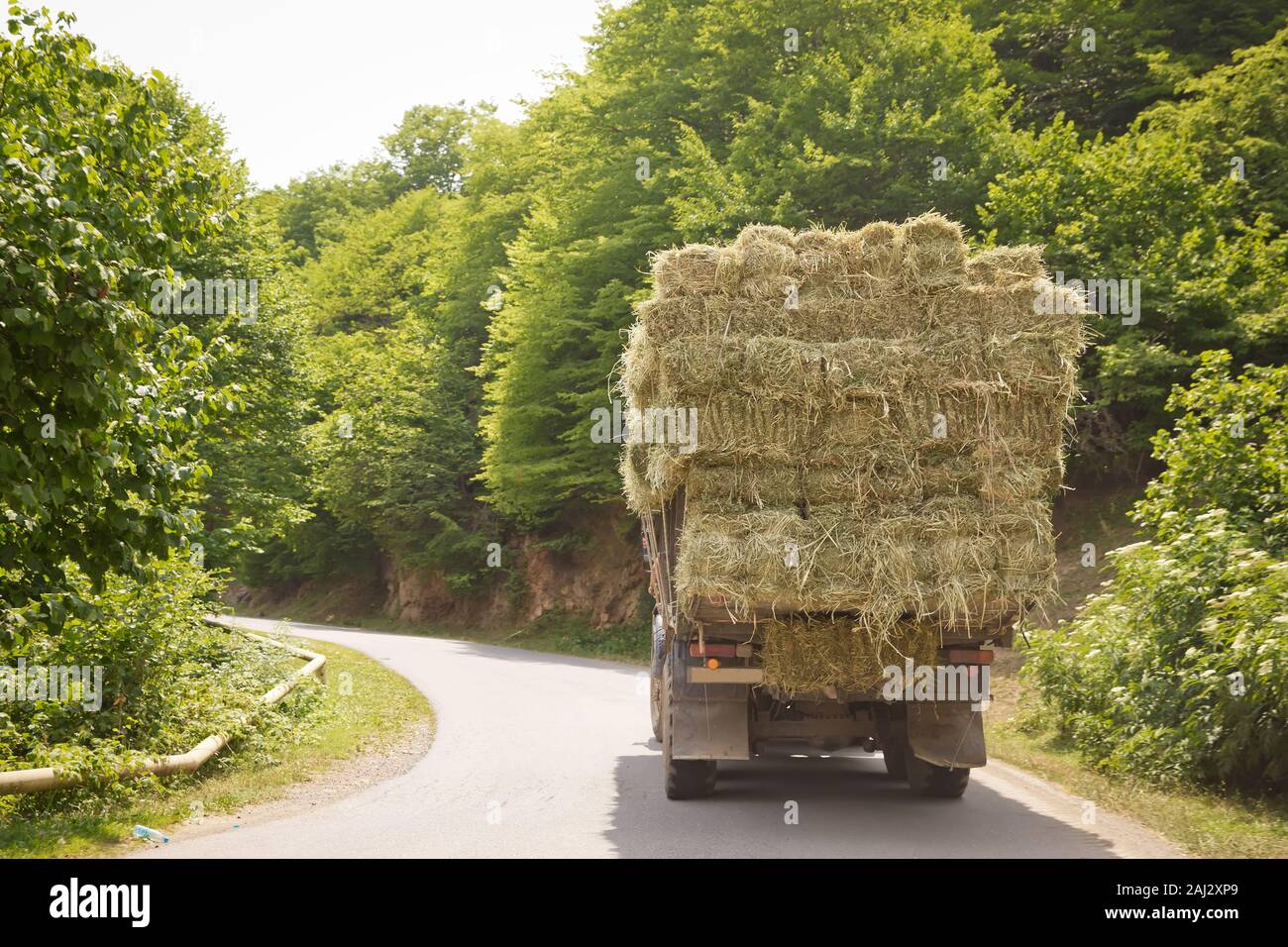 After the harvest. Early autumn. The truck is carrying hay. hay carrier ...