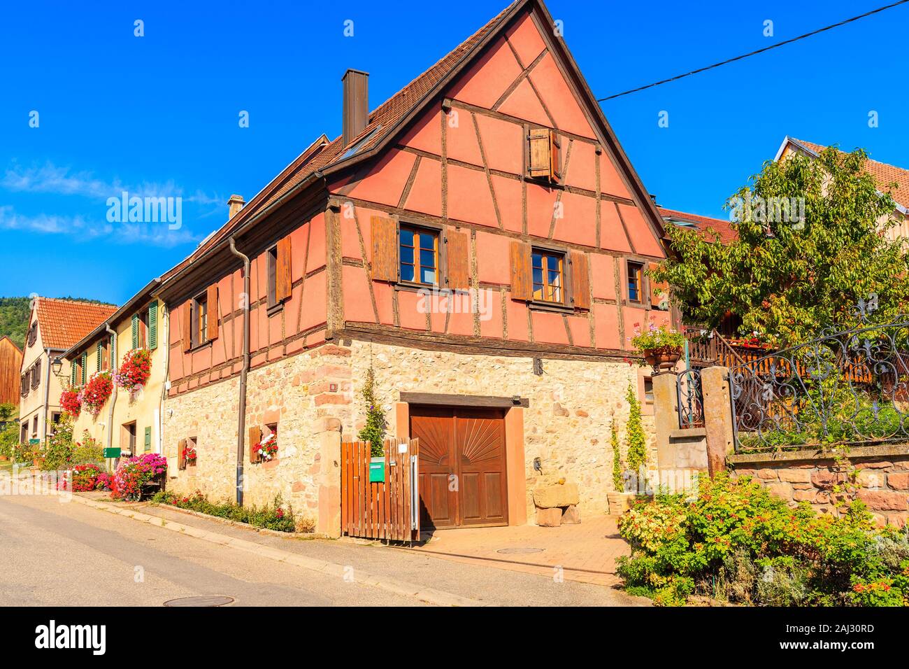 Street with traditional houses in famous Hunawihr village, Alsace wine ...