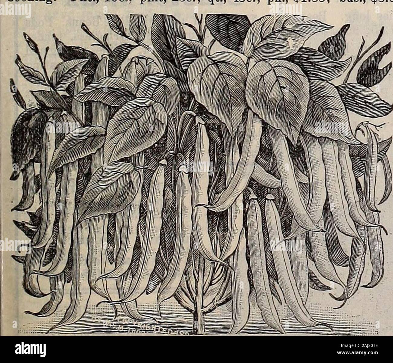 Brittle snap hi-res stock photography and images - Alamy