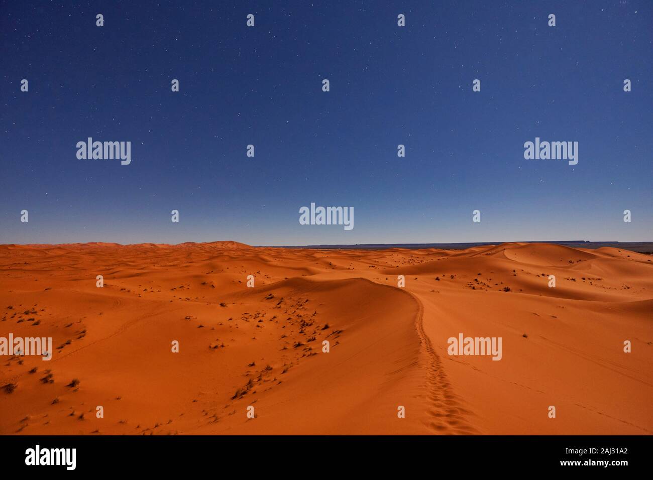 Stars at night over the dunes, Sahara Desert, Hassilabied, Morocco ...