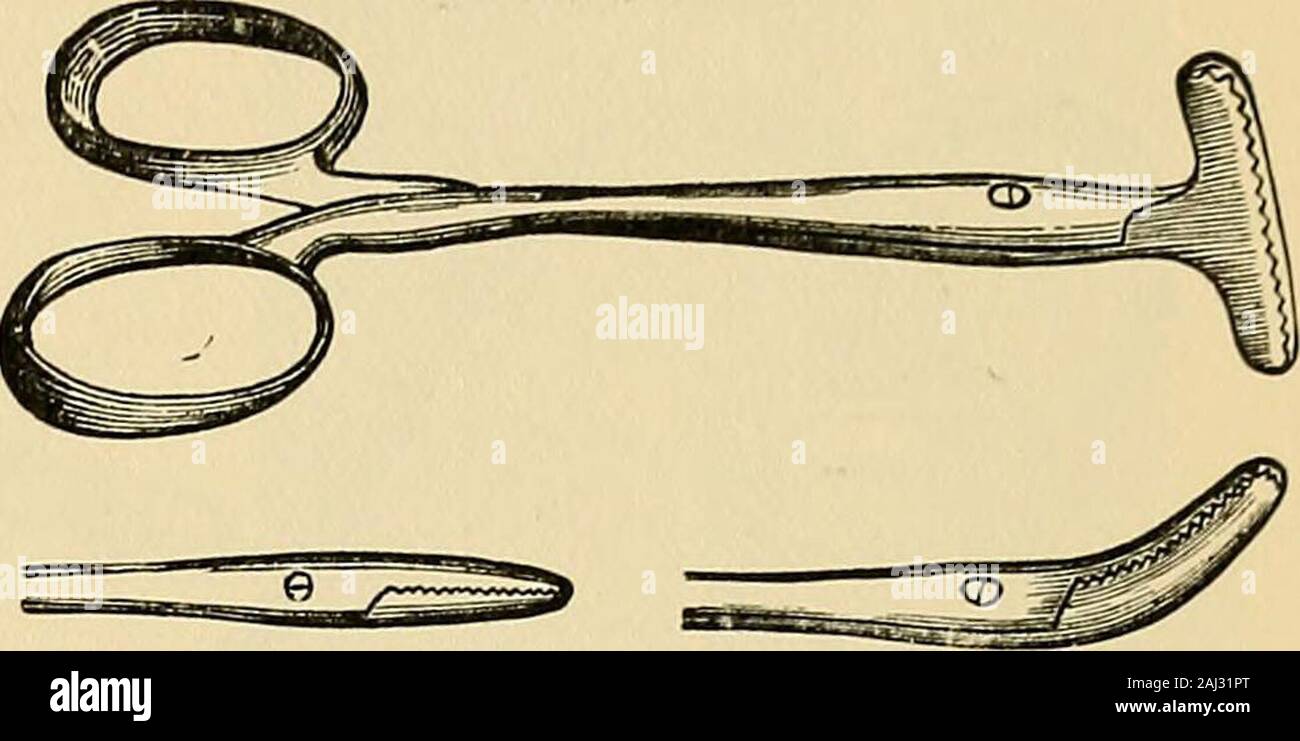 Blunt forceps hi-res stock photography and images - Alamy